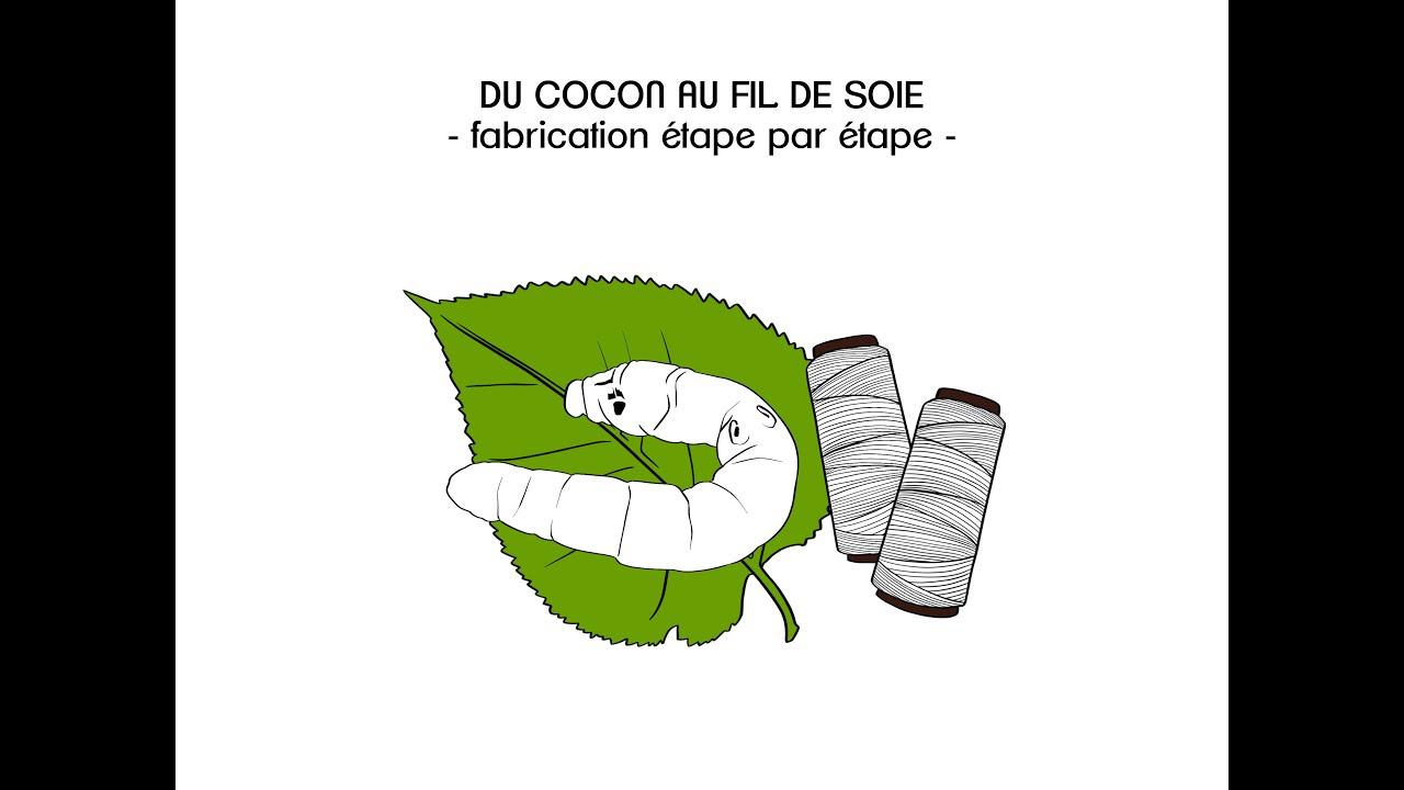 DU COCON AU FIL DE SOIE - fabrication étape par étape - - YouTube