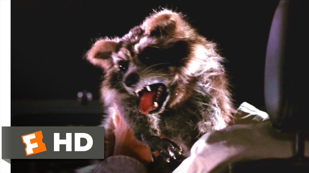 Harold & Kumar Go to White Castle - Rabid Raccoon Attack Scene (3/10 ...