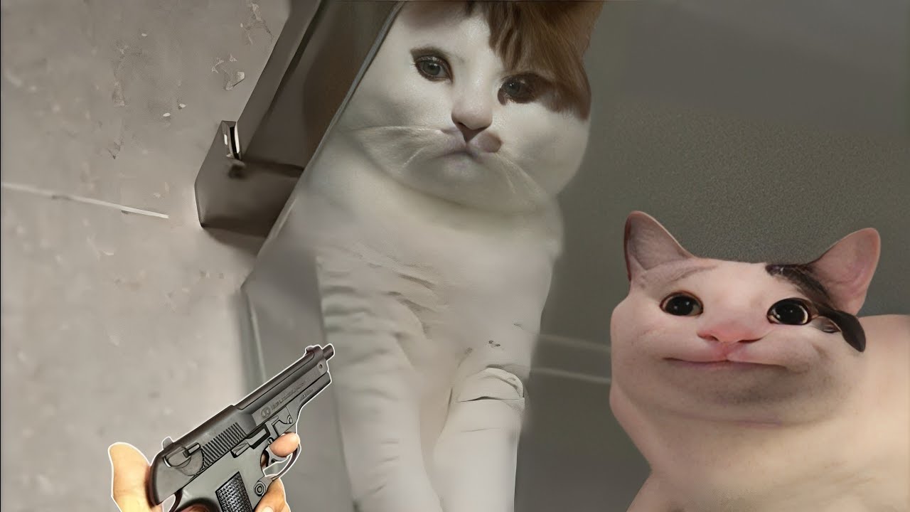 Discover the Hilarious Side of Cats in These Funny Videos - YouTube