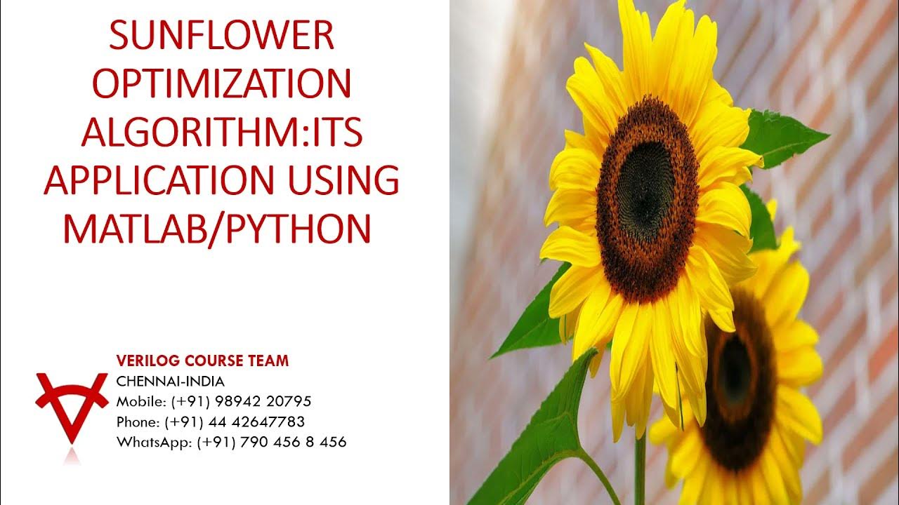 SUNFLOWER OPTIMIZATION ALGORITHM ITS APPLICATION USING MATLAB-PYTHON - YouTube