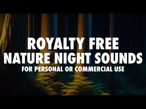 Nature Night Sounds (Royalty Free) - YouTube