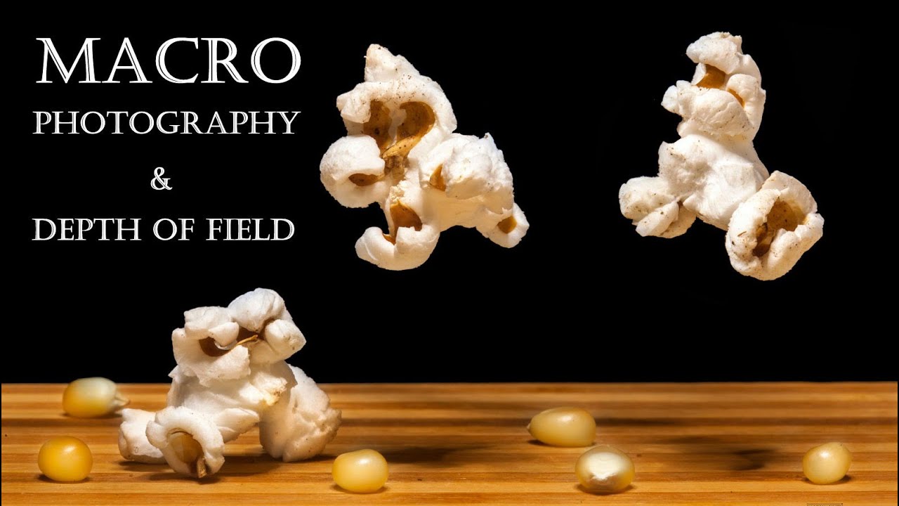 Macro Photography | Depth of Field | with Popcorn using Canon 100 mm f ...