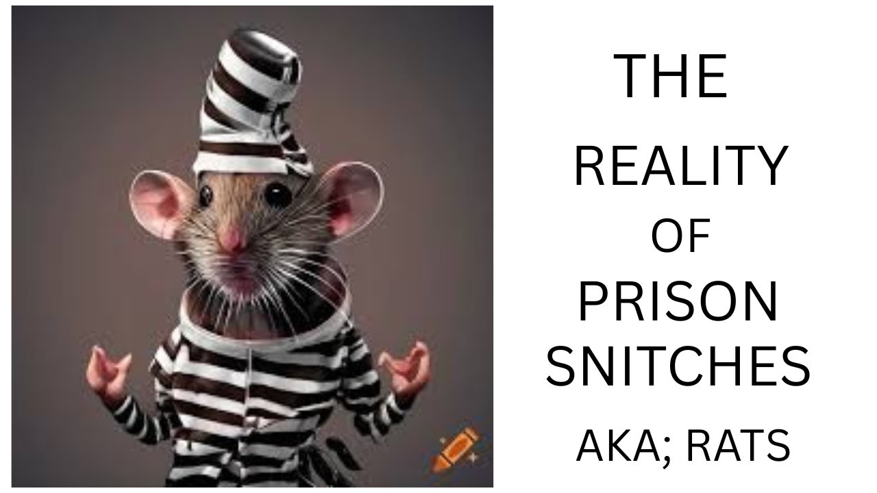 PRISON SNITCHES, AKA PRISON RATS - YouTube