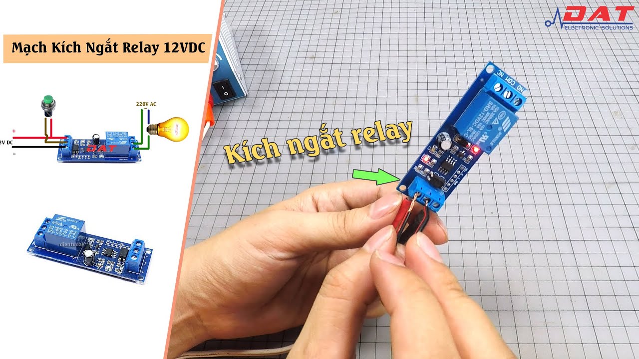 Mạch Kích Ngắt Relay 12VDC | Mạch module relay | Điện tử DAT - YouTube