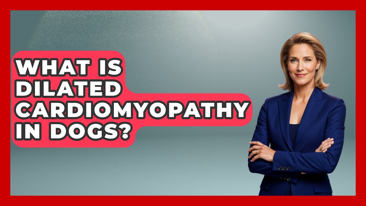 What Is Dilated Cardiomyopathy In Dogs? - Cardiology Community - YouTube