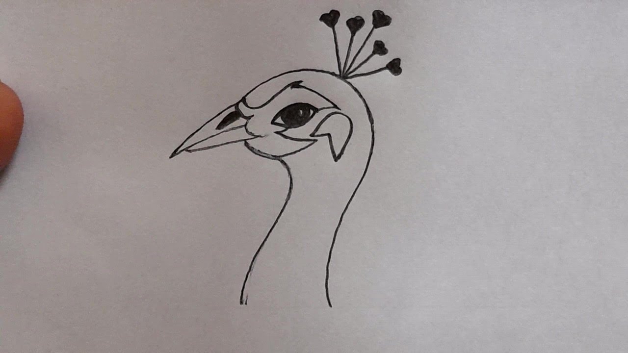 🦚HOW TO DRAW A BEAUTIFUL PEACOCK FACE🦚EASY DRAWING👍#birddrawing ...