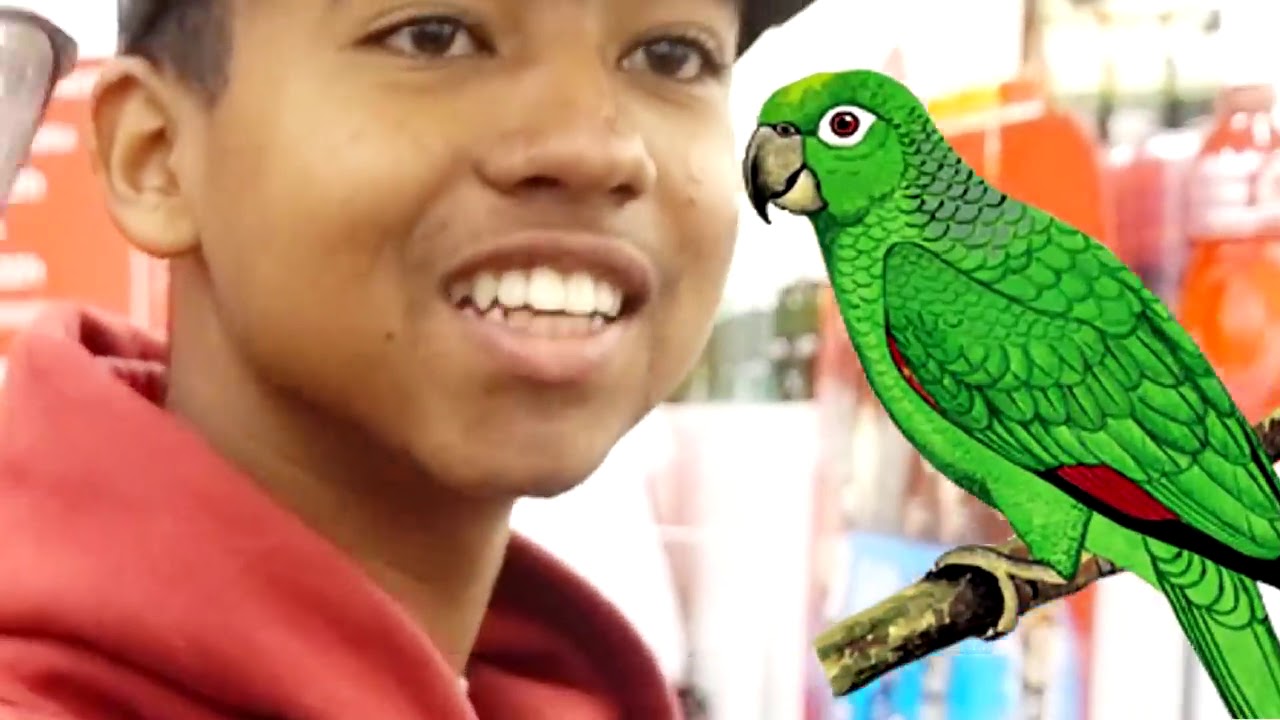 Zoio Do dia! MEU IRMÃO DEU EM CIMA DA MINHA CÂMERA - YouTube