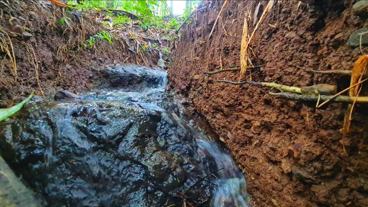 Trickling Water Sounds, Peaceful Sounds For Sleep And Relaxation For ...