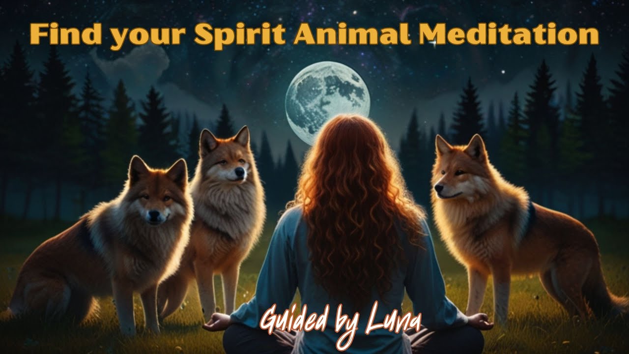 Find your Spirit Animal- guided meditation to connect and receive ...