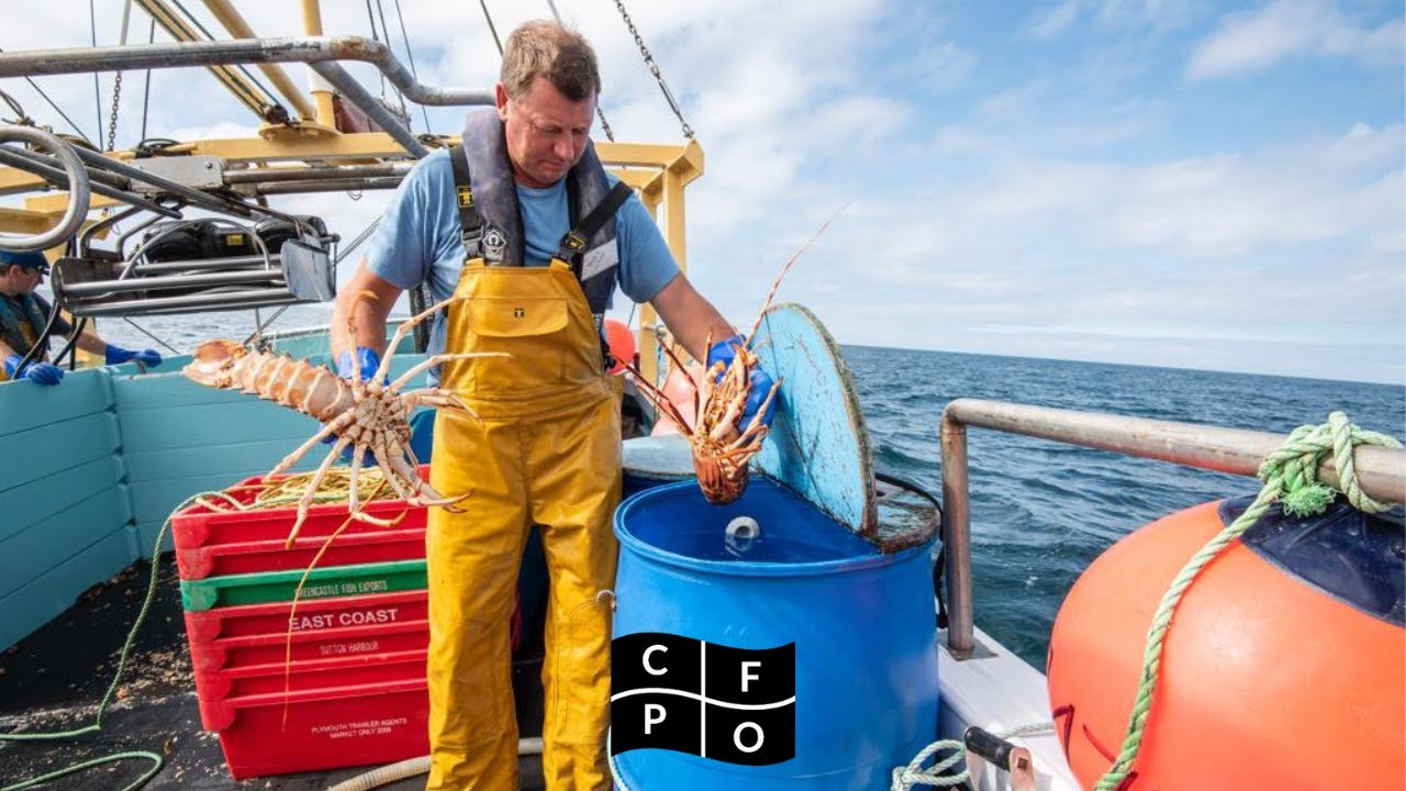 Cornish fishermen lead the way for sustainability - YouTube