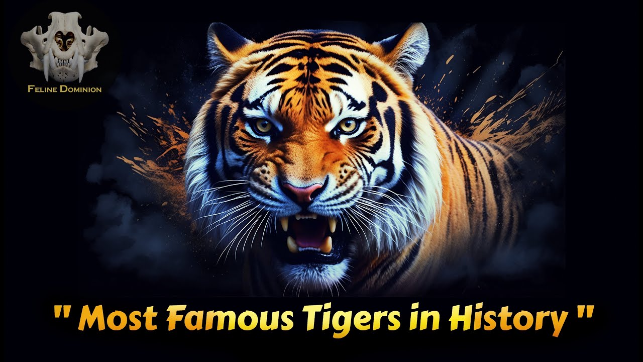 Most Famous Tigers in History – Legendary Big Cats of the Wild ...