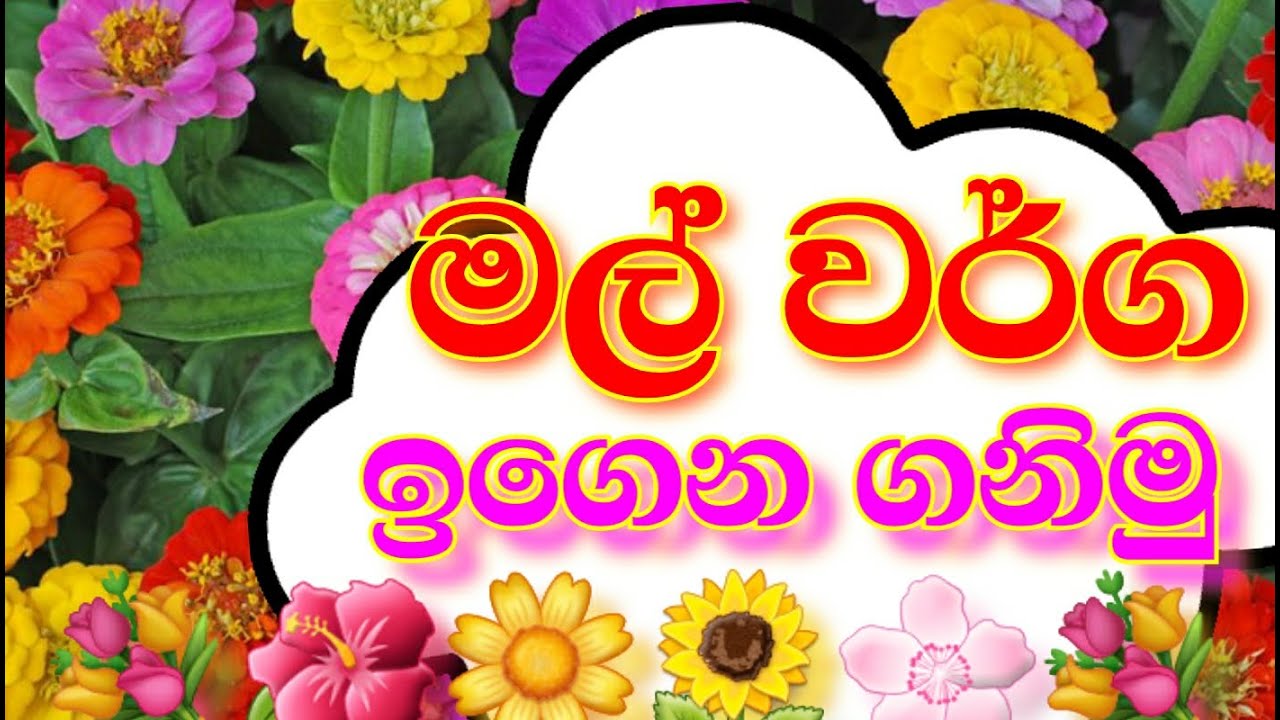 මල් වර්ග හදුනාගනිමු( mal warga) primary අපි - YouTube