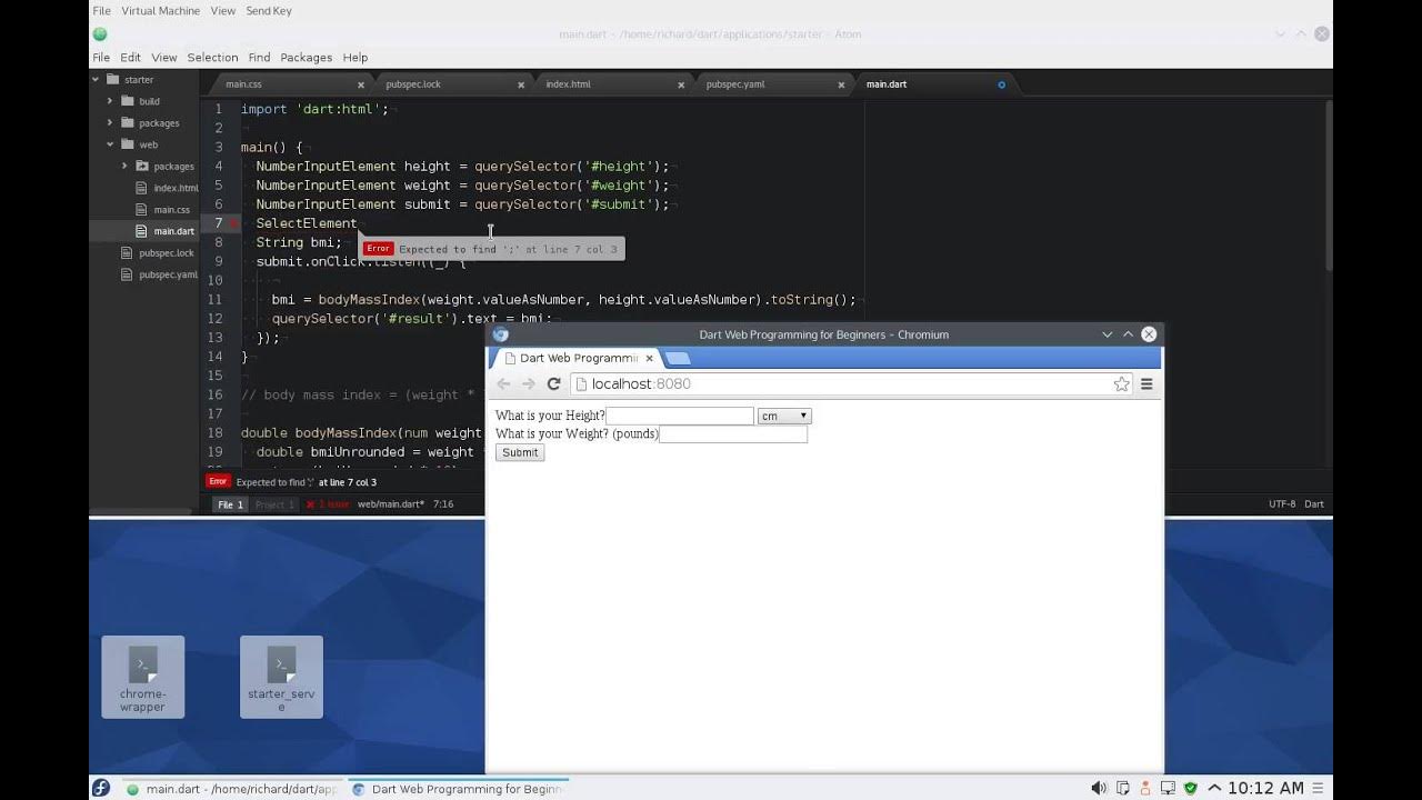 Dart Web Programming for Beginners: 12 Editing the BMI Calculator - YouTube