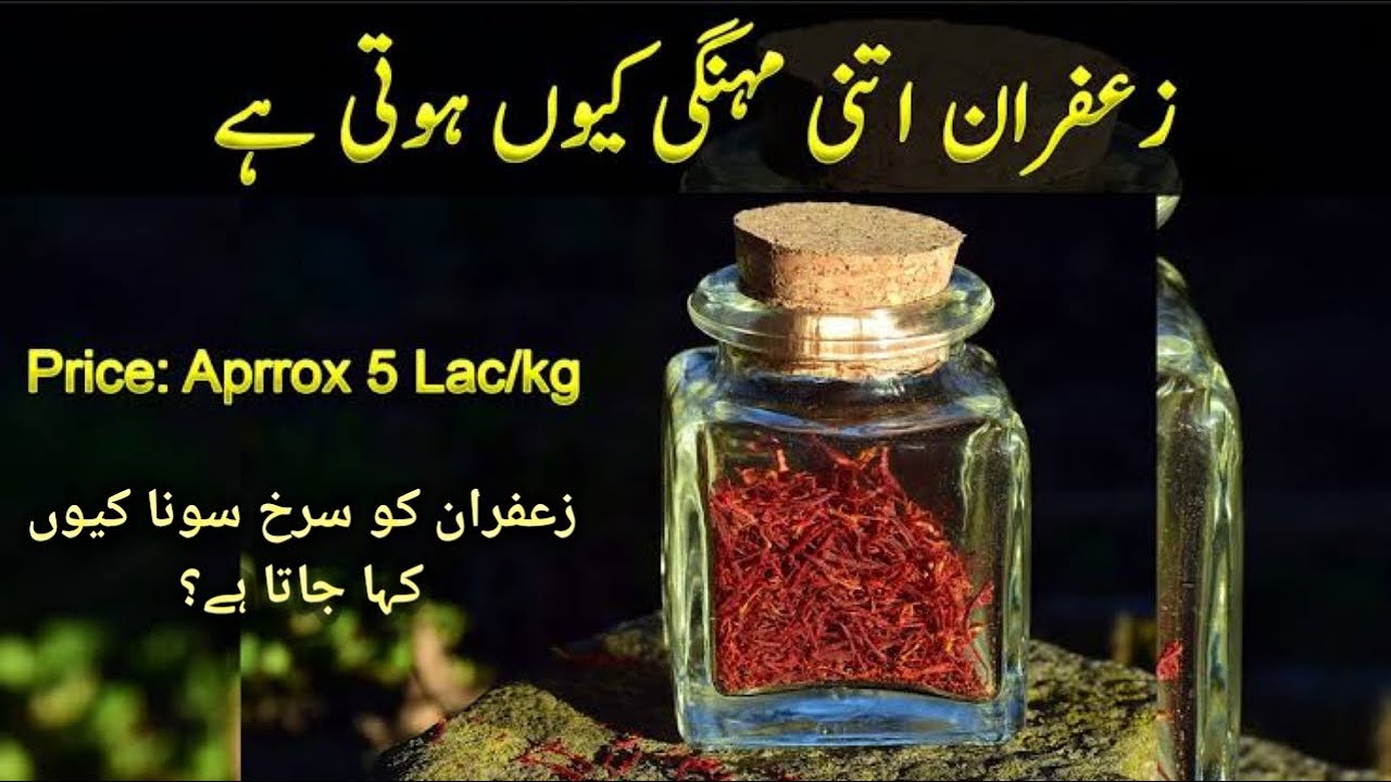 Benefits of Saffron/Zafran | Why Saffron Is So Expensive | Zafran K ...
