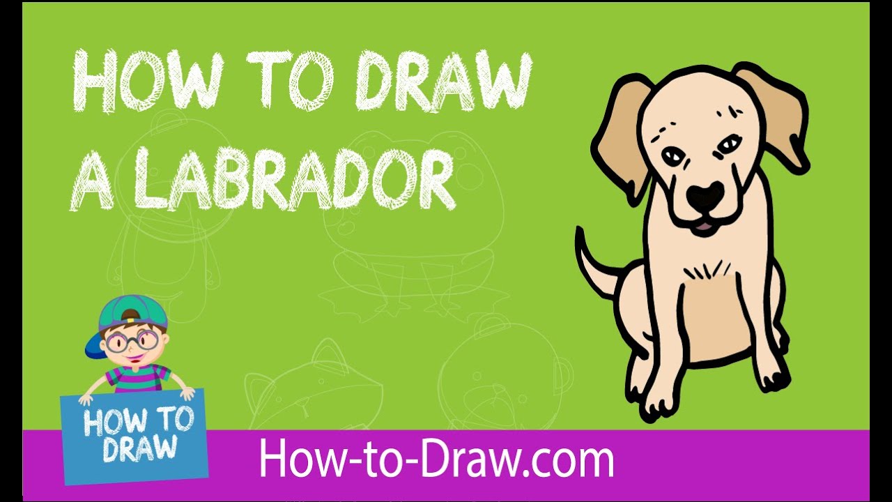 How to Draw A Labrador Step by Step (for Kids) #howtodraw #drawing # ...