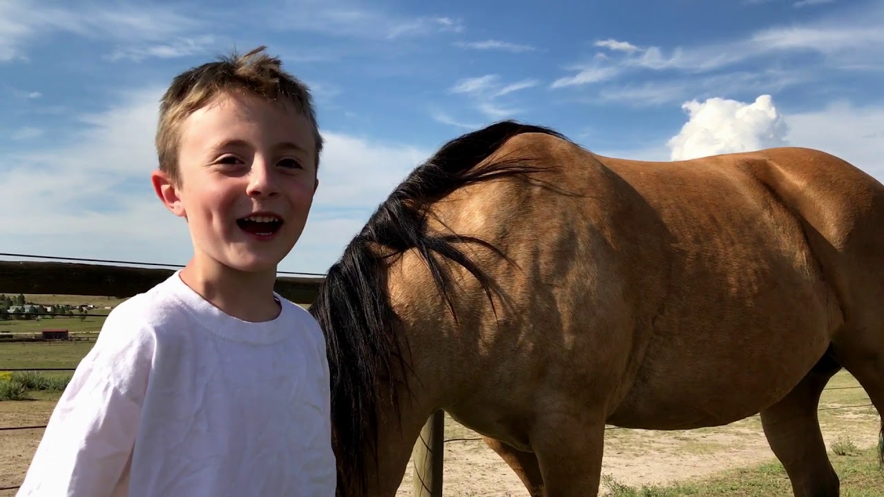 A day in the life of a ranch kid; the next generation horse whisperer ...