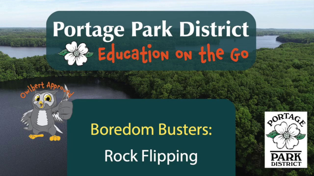 Boredom Busters - Rock Flipping - YouTube