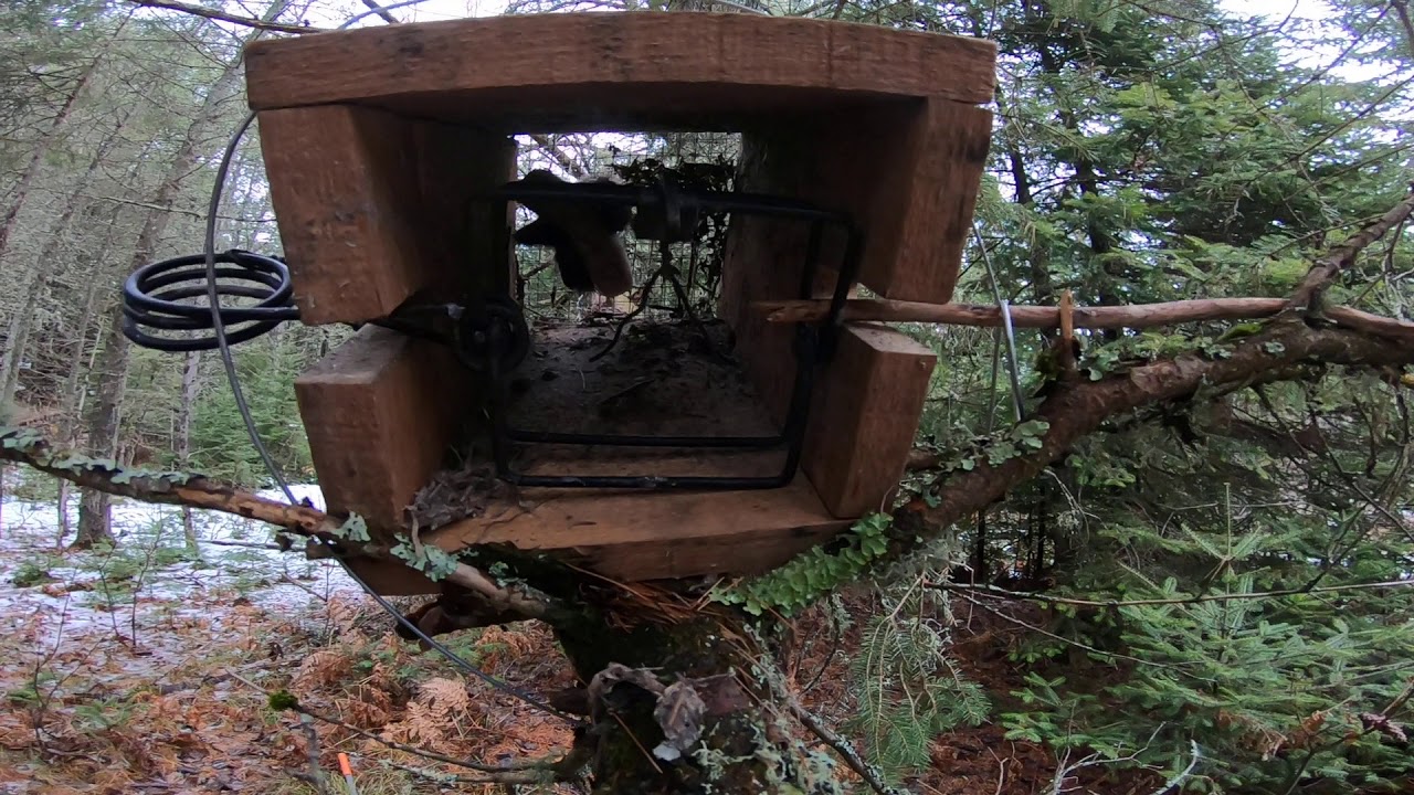 Trapping 101.7 ep 137.Martin set - YouTube