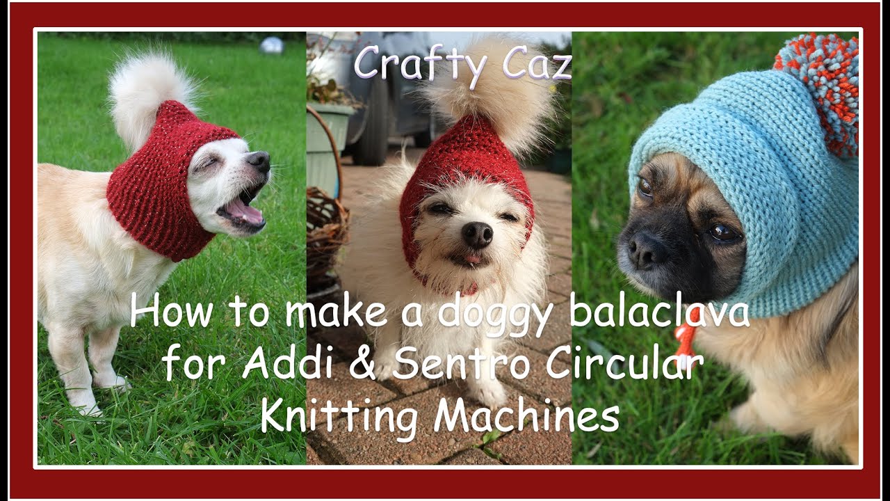 🐕 How to make a Doggy Balaclava | Free Pattern Tutorial for Addi ...