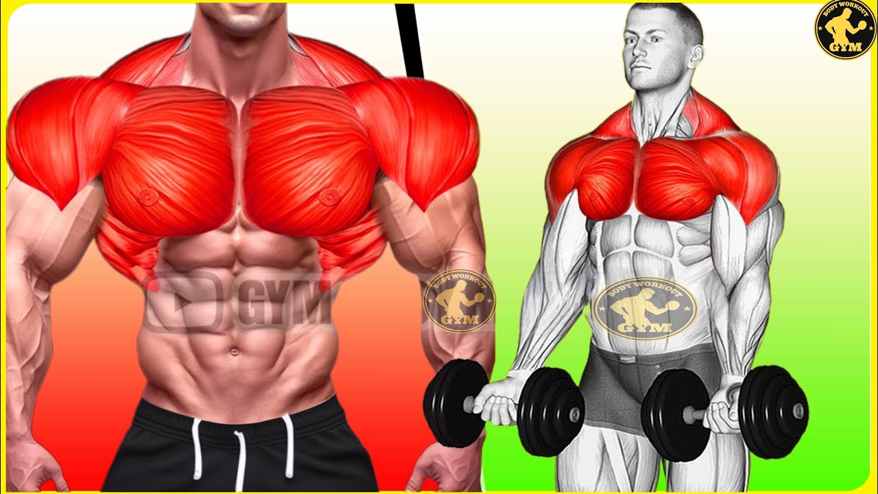 20-Minute Super Set Workout: Efficient Chest Back And Shoulders ...