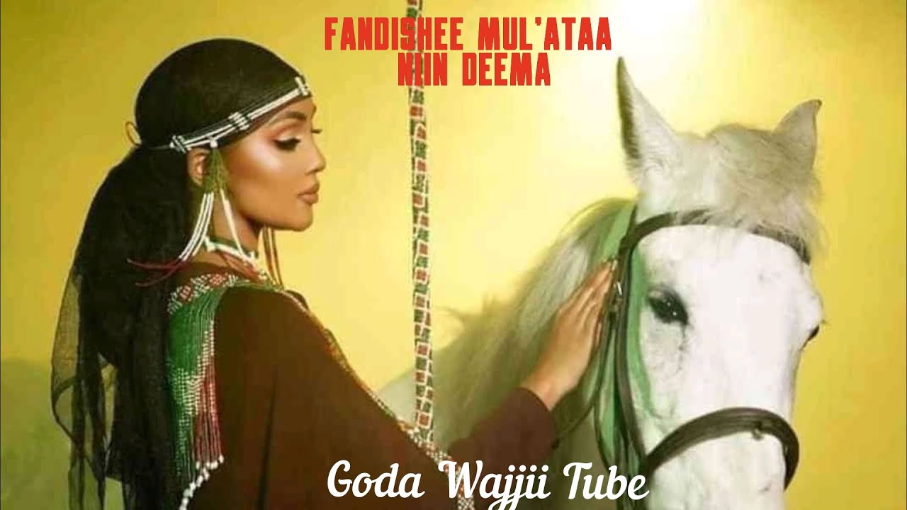 Fandishee Mul'ataa - Niin Deema (Oromo Music 2024) - YouTube