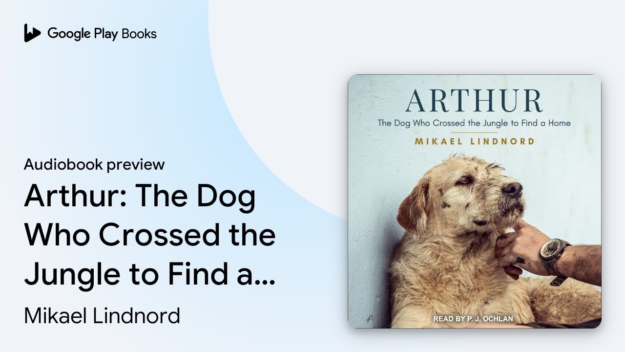 Arthur: The Dog Who Crossed the Jungle to Find… by Mikael Lindnord ...