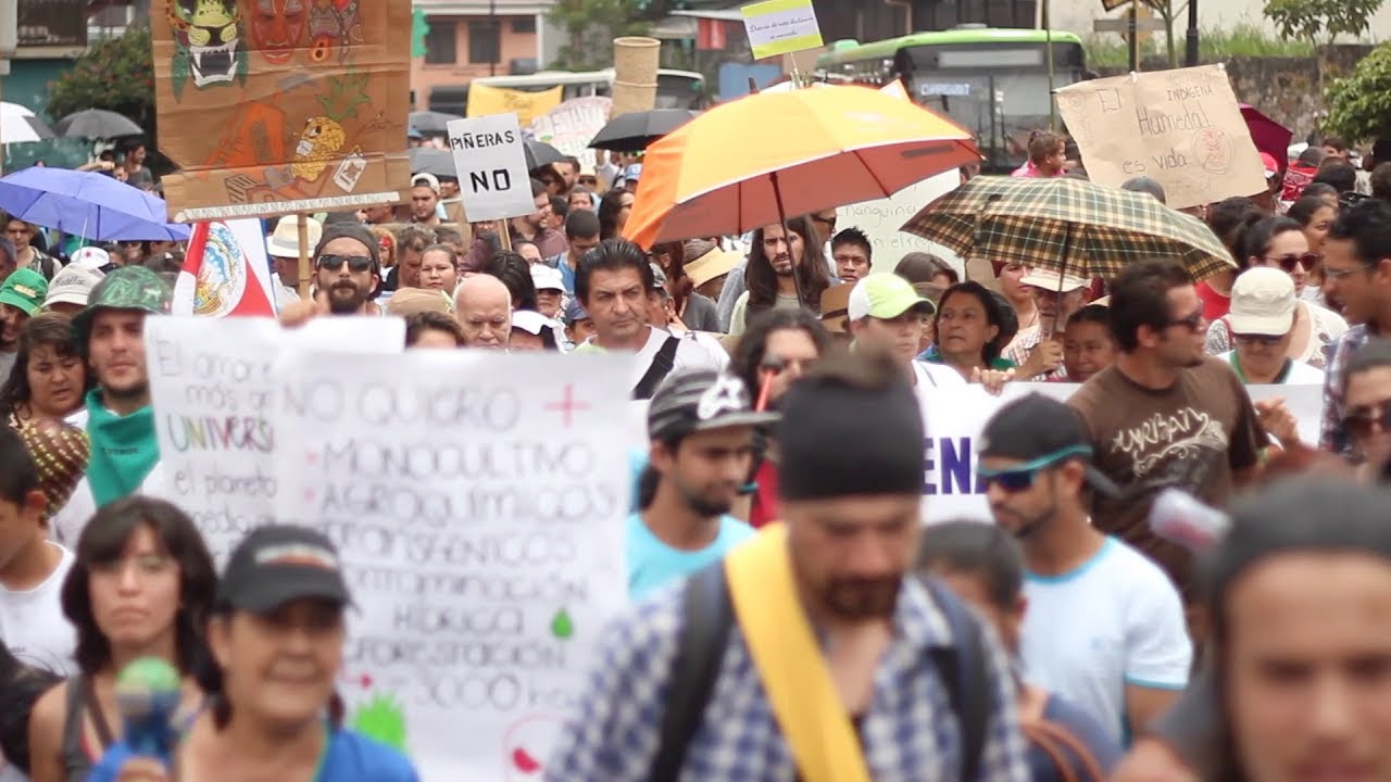 Día mundial del ambiente: logros del movimiento ecologista - YouTube