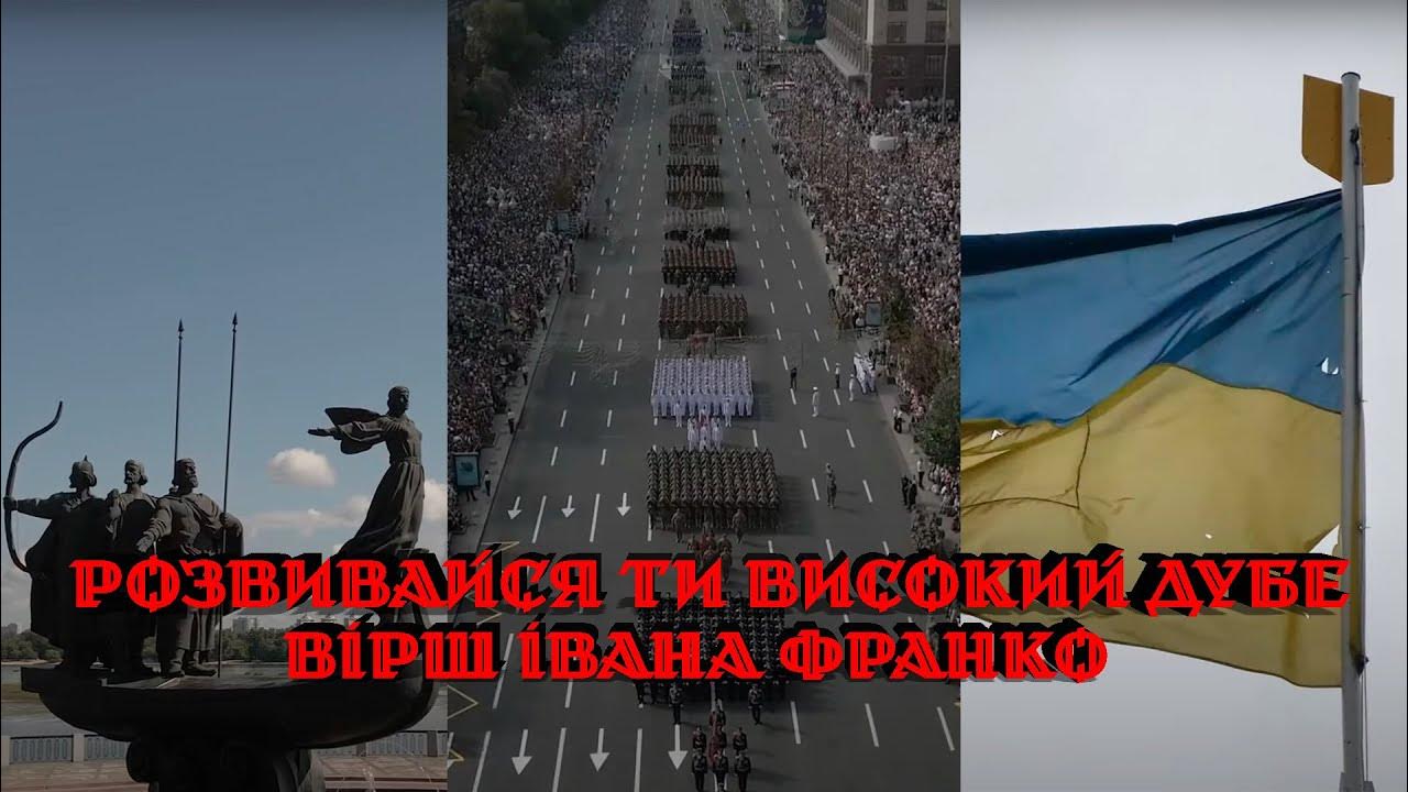 Розвивайся ти високий дубе Адаптація вірша Івана Франка🌳💙💛 Ua Footage Youtube