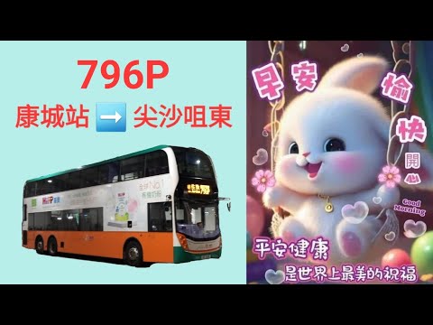 Hong Kong Bus NWFB 6166 @ 796P 新世界第一巴士 Alexander Dennis Enviro500 MMC ...