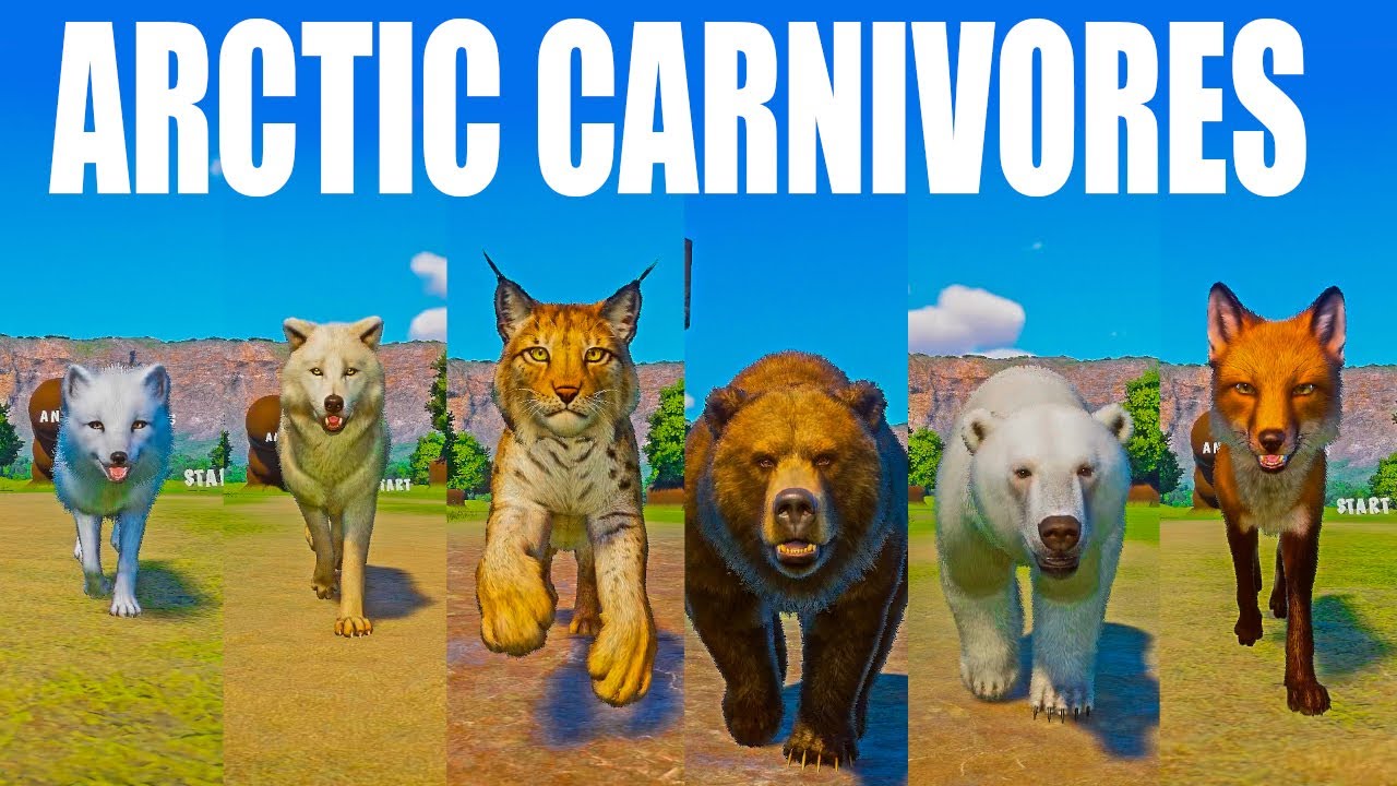 Arctic Carnivores Speed Races in Planet Zoo included Red Fox, Arctic ...
