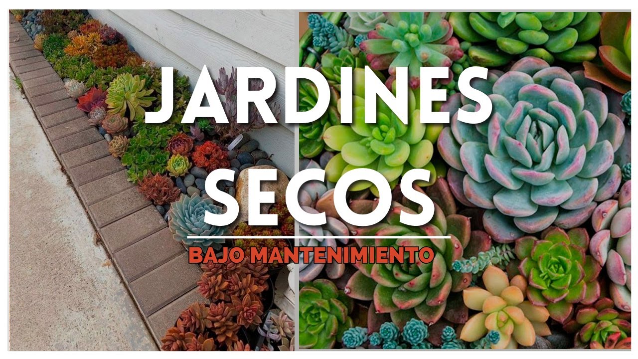Haz un Jardín con bajo MANTENIMIENTO | Jardines Secos 🌵 | Jardinería ...