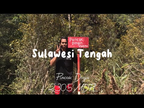 Puncak Dingin. MT Rore Katimbu (Poso). Perjalanan Santay yg Memakan ...