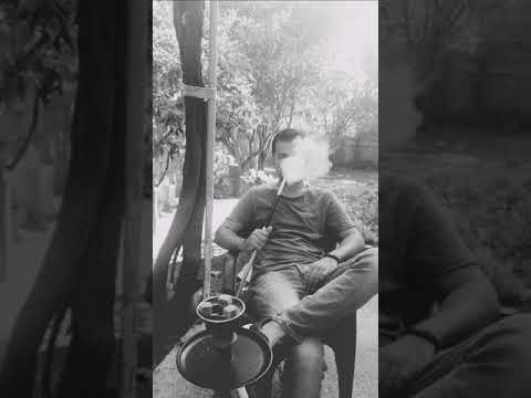 Ben, Nargilem, keyfim ve keyfimin kahyası