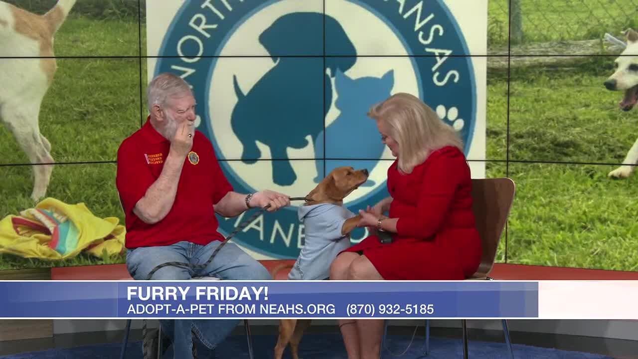 Furry Friday: Birdie - YouTube