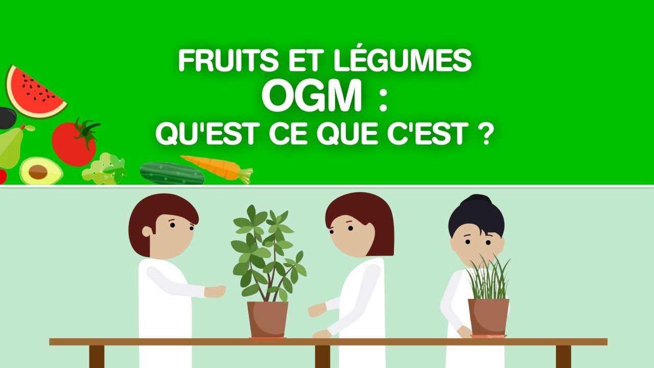 Fruits et légumes OGM : qu'est-ce que c'est ? - YouTube