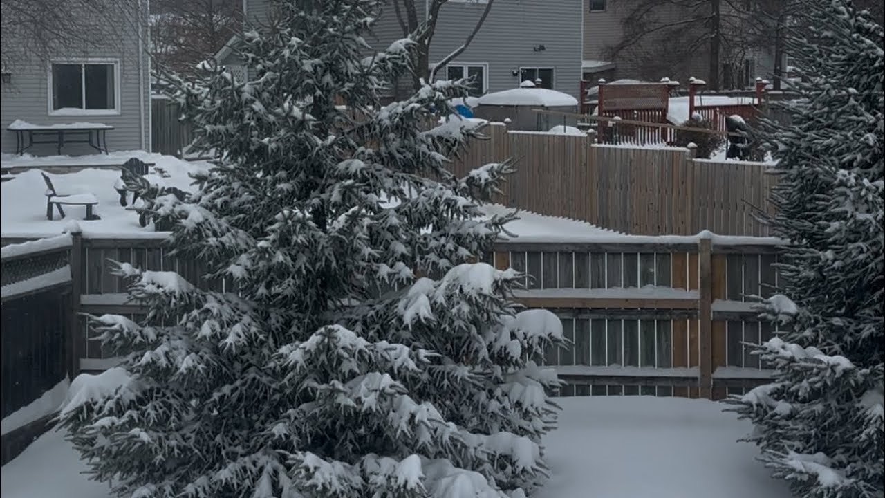 Winter is beautiful and so much to offer | winter is good #canada # ...