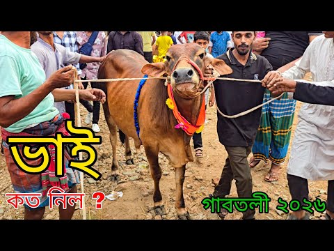 Bhai Koto Nilo 2026 | Gabtoli Cattle Market | Qurbani Cow Price 2026 | Gorur Haat Update 