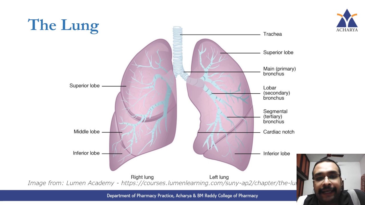 Pulmonary Function Tests - Introduction - YouTube