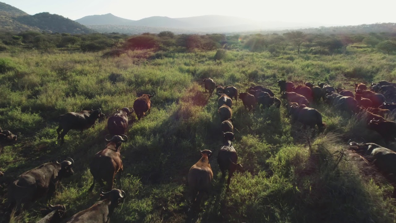 The Manyoni Experience - YouTube