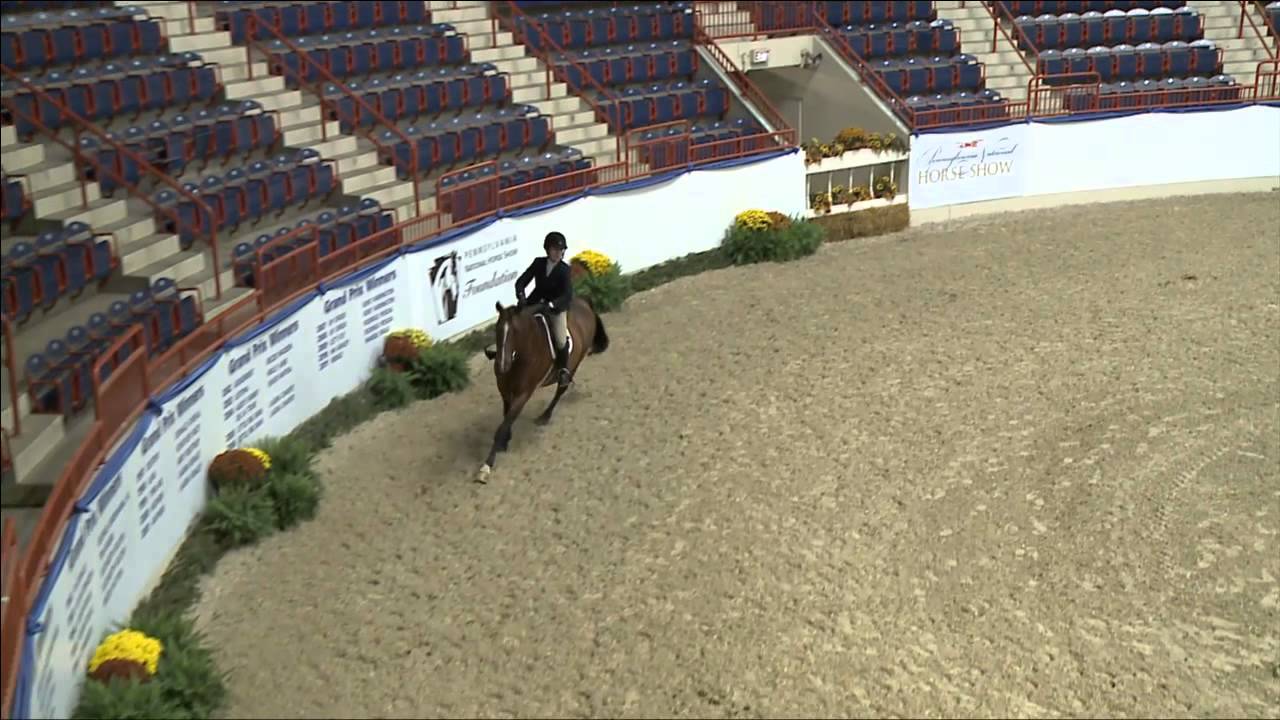 252 LARKSPUR Ashley Kennedy Whitner Amateur Owner Hunter 36 & Over ...