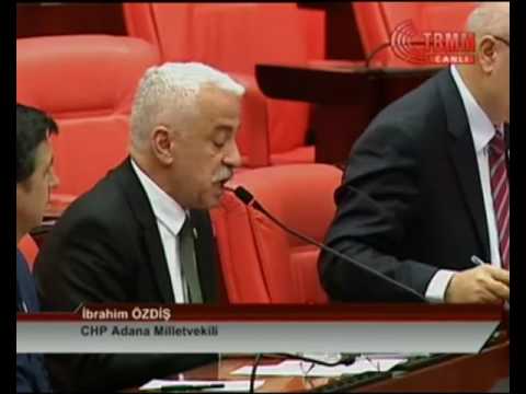 Ayşe Sarısu Pehlivan'a inceleme...