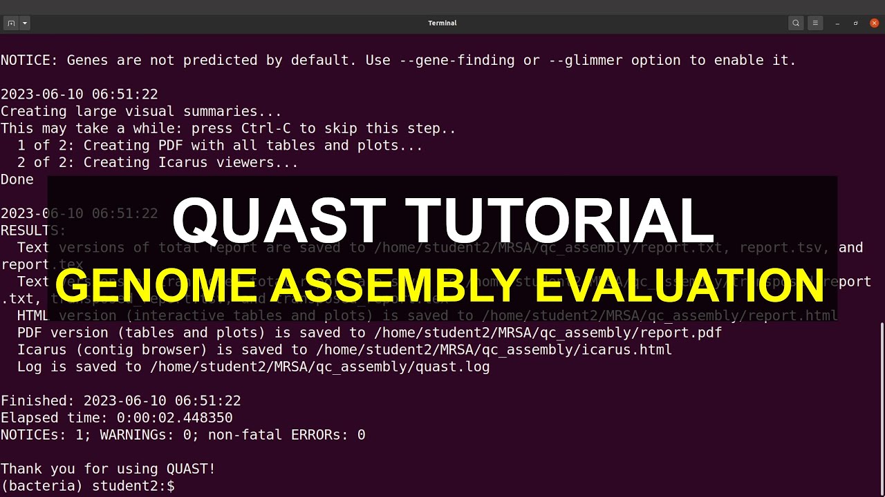 Evaluate Bacterial Genome Assembly with QUAST Episode 1 - YouTube