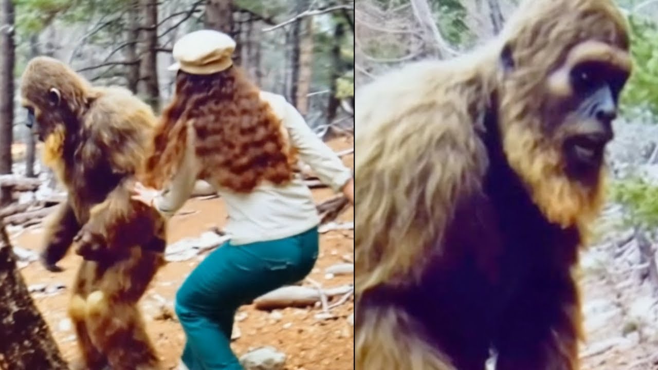 WHEN A RANGER FOLLOWED A CRY IN THE DARK AND MET A BIGFOOT BEGGING FOR ...