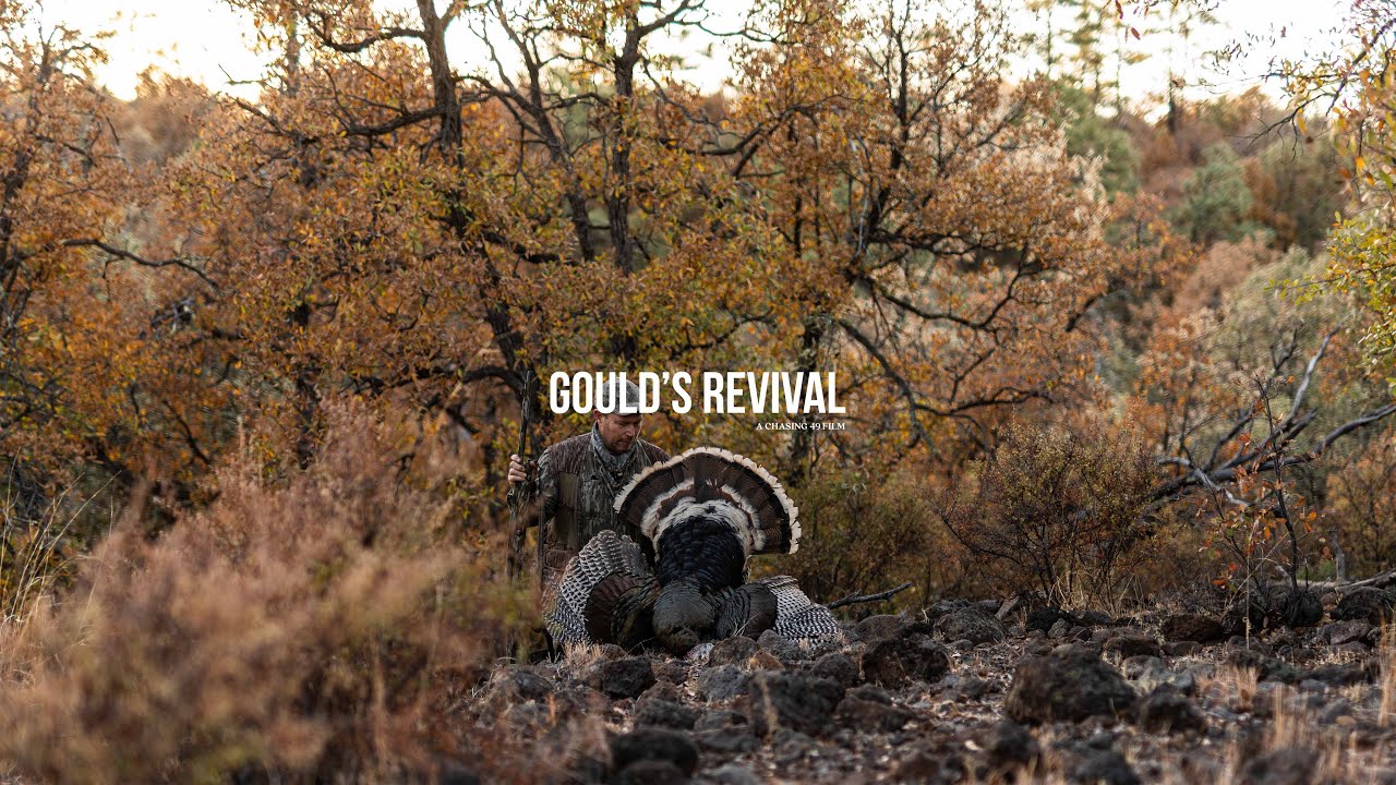 Chasing 49 Films | GOULD'S REVIVAL | Feature Film | - YouTube