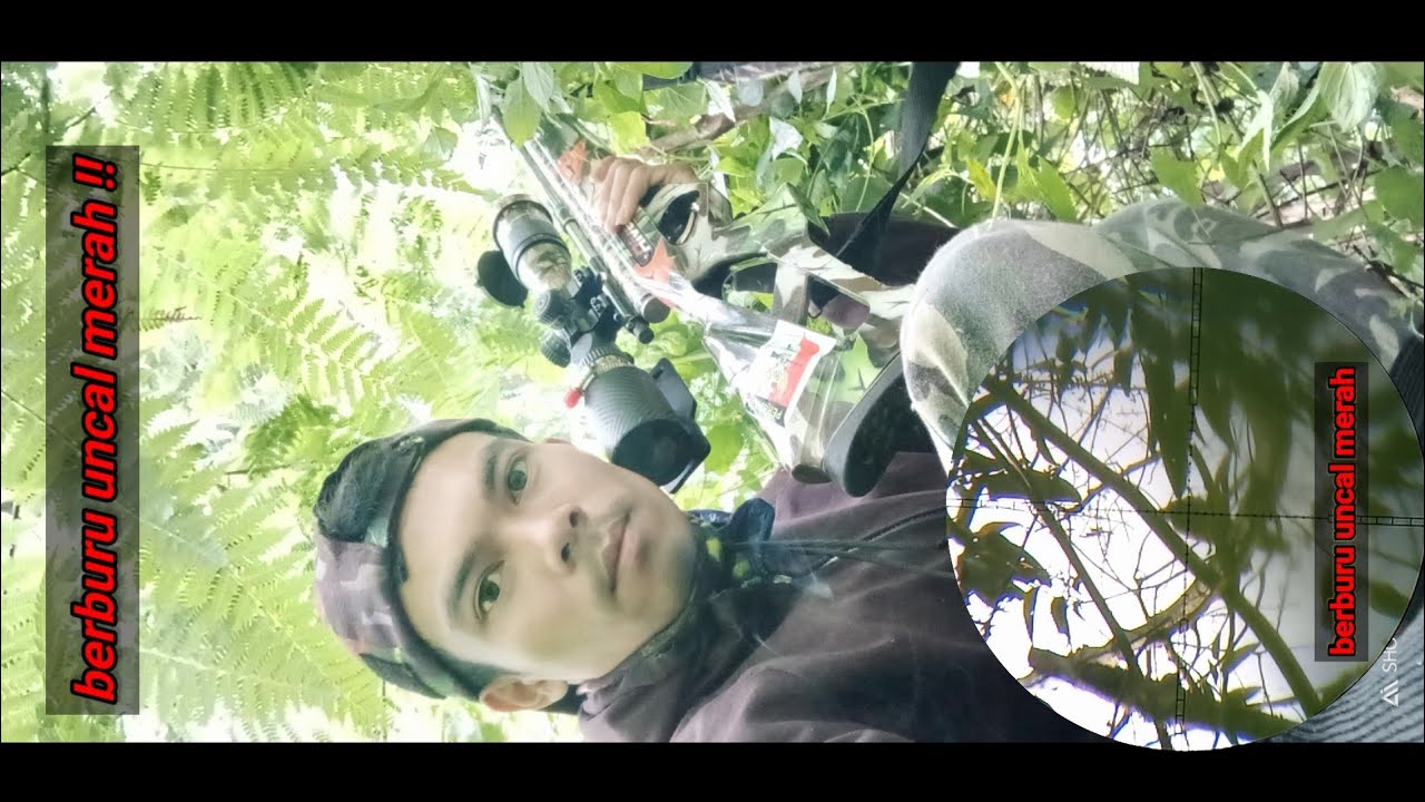 BERBURU ! burung uncal merah di spot gunung Burangrang !!👻 - YouTube