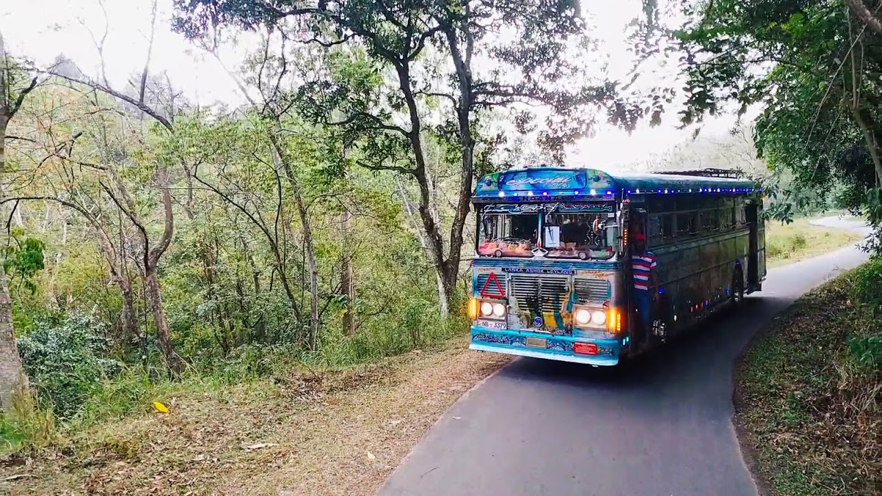 Sadanari speed coach 0764678033 - YouTube