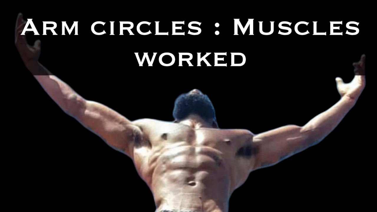 Arm Circles : Muscles Worked - YouTube
