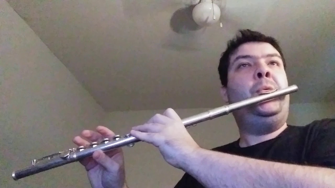 Pirates of Caribbean theme on the flute (recorder) na flauta doce - YouTube