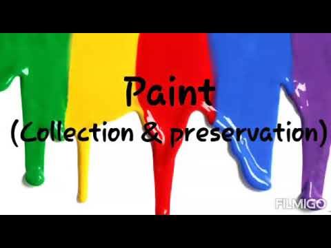 Paint (collection and preservation) - YouTube