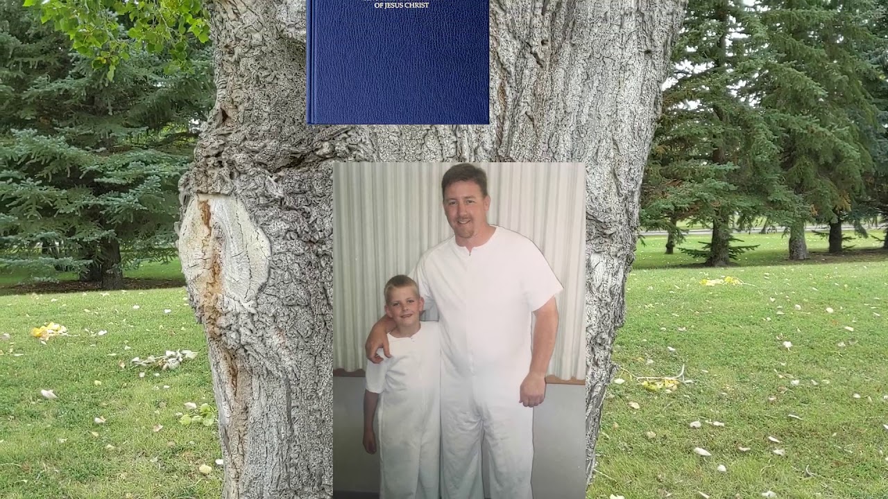 Tree of Life Project Video - YouTube